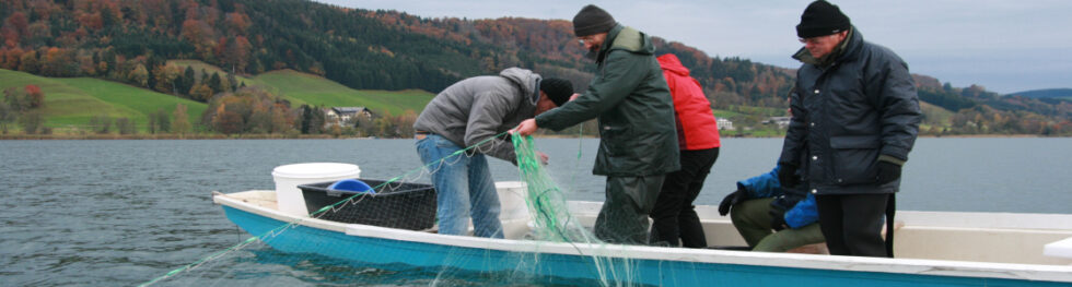 Renkenfischen Info’s | Hegene | handgemachte Hegenen & Nymphen vom Profi