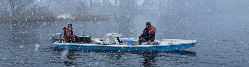 Hegene | handgemachte Hegenen & Nymphen vom Profi