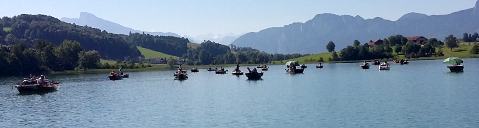 Renkenfischen Info’s | Hegene | handgemachte Hegenen & Nymphen vom Profi