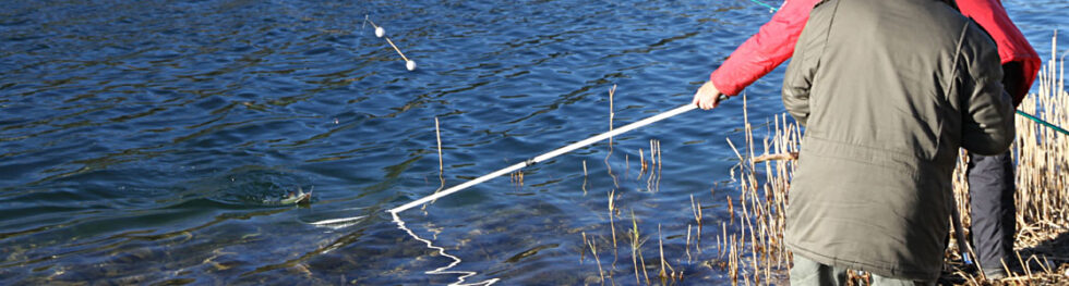 Renkenfischen Info’s | Hegene | handgemachte Hegenen & Nymphen vom Profi